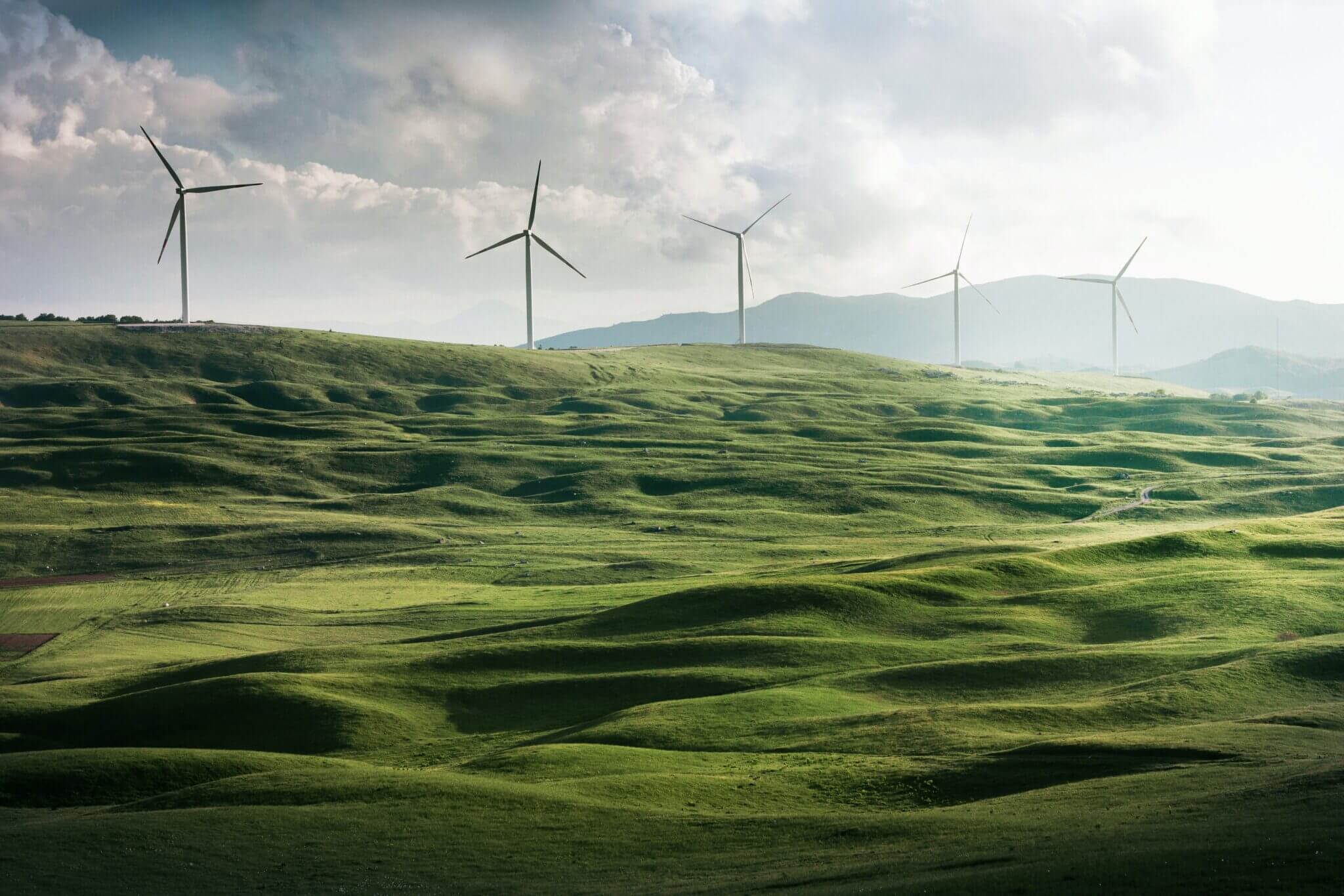Investing in Green Energy: Opportunities in Renewable Energy and ...